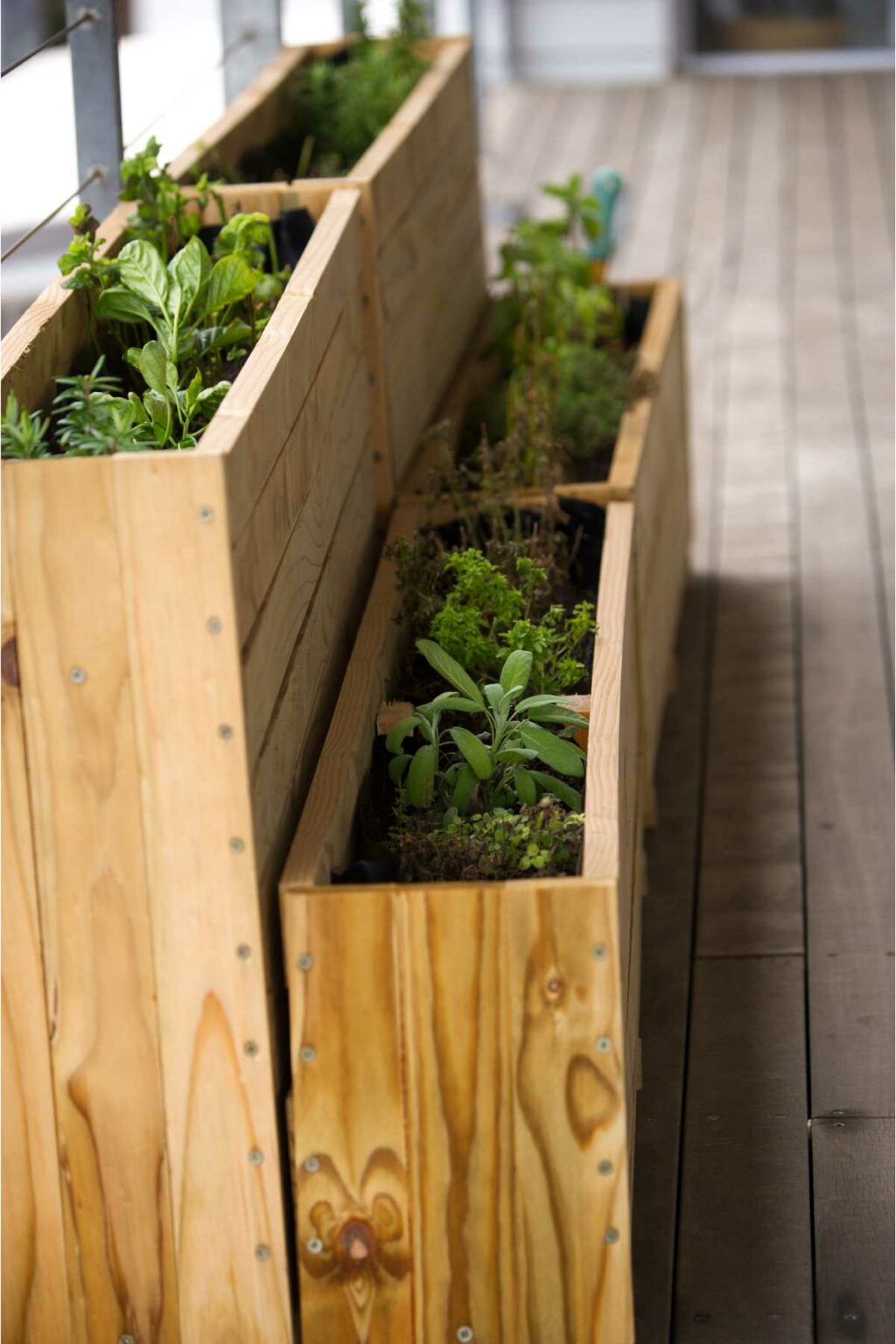 Creative Indoor Planter Box Ideas For A Green Home - Home And Hues