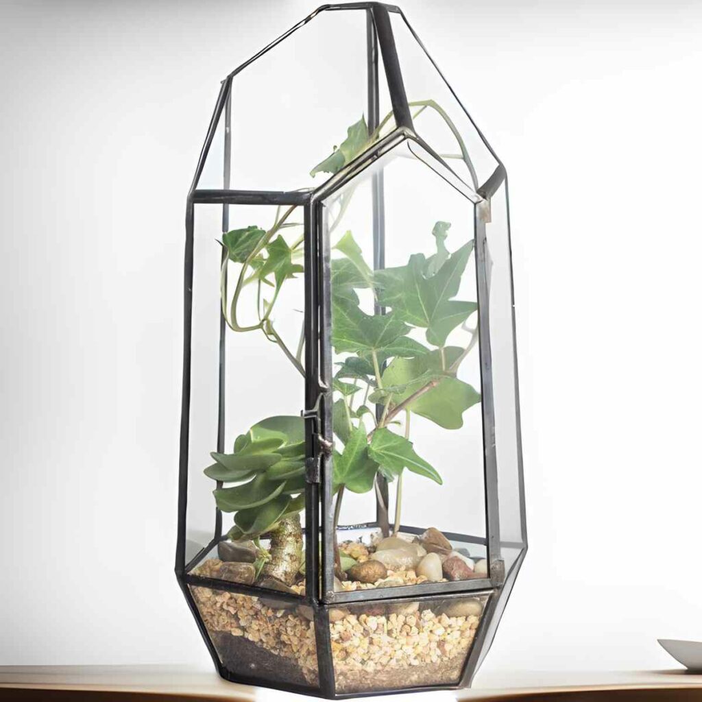 6x9 Inch Tabletop Plant Container For Succulents LaLaGreen Glass ...