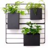 Creative Indoor Planter Box Ideas For A Green Home - Home And Hues