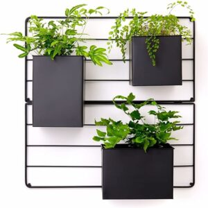 Creative Indoor Planter Box Ideas For A Green Home - Home And Hues