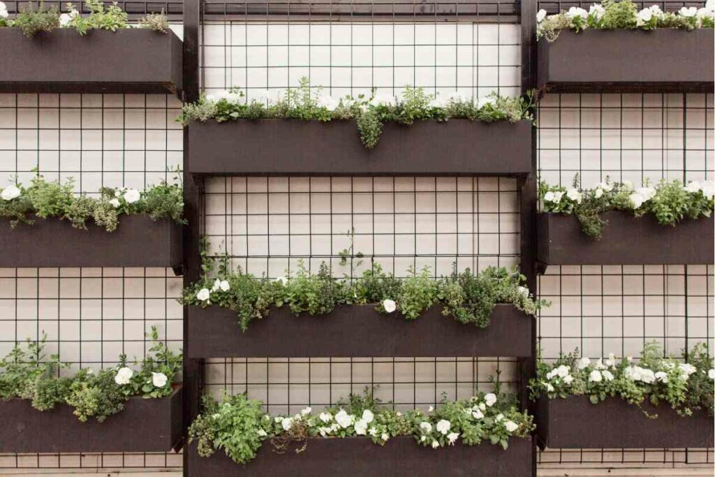 Choosing Liners for Wooden Planter Boxes (Types and How To Line) - Home ...