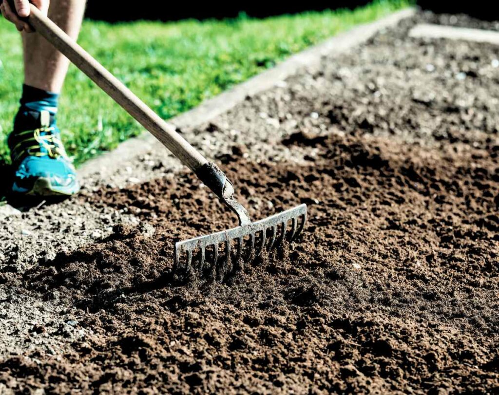 Soil Improver / Conditioner: Types, Benefits + How To Use - Home And Hues