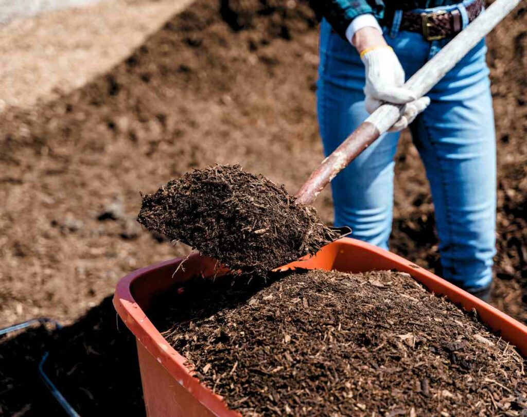 Soil Improver / Conditioner: Types, Benefits + How To Use - Home And Hues